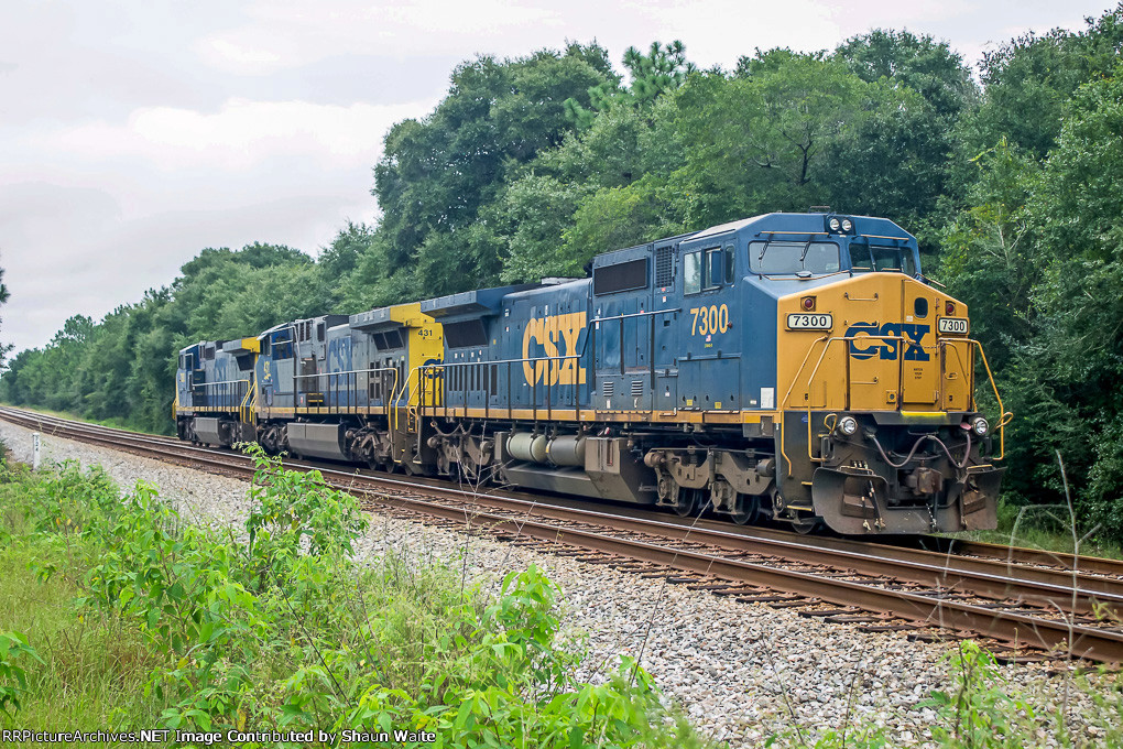 CSX 7300 + 431 + 7383 wait nr Mossy Head